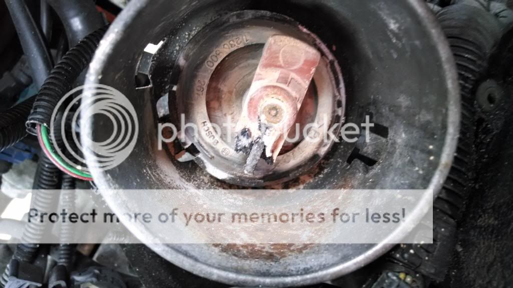 Fried Distributor cap and rotor | VW Vortex - Volkswagen Forum