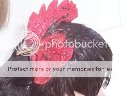 Help! Rooster eye injury ***UPDATE*** w/PIC | BackYard Chickens - Learn ...