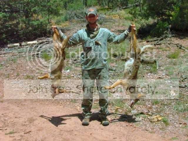 How about some pics of your varmints? > Small Game & Trapping > AR15.COM