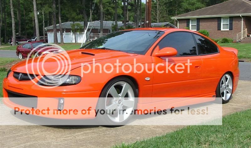 VS Monaro Front Bumper Badge | LS1GTO Forums