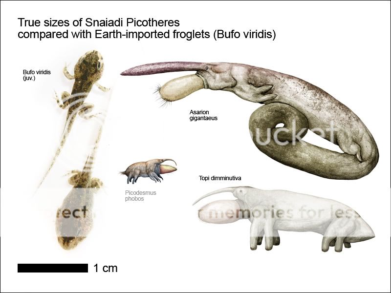 Xenobiology 2 of 2 / by nemo-ramjet: 04_ — LiveJournal