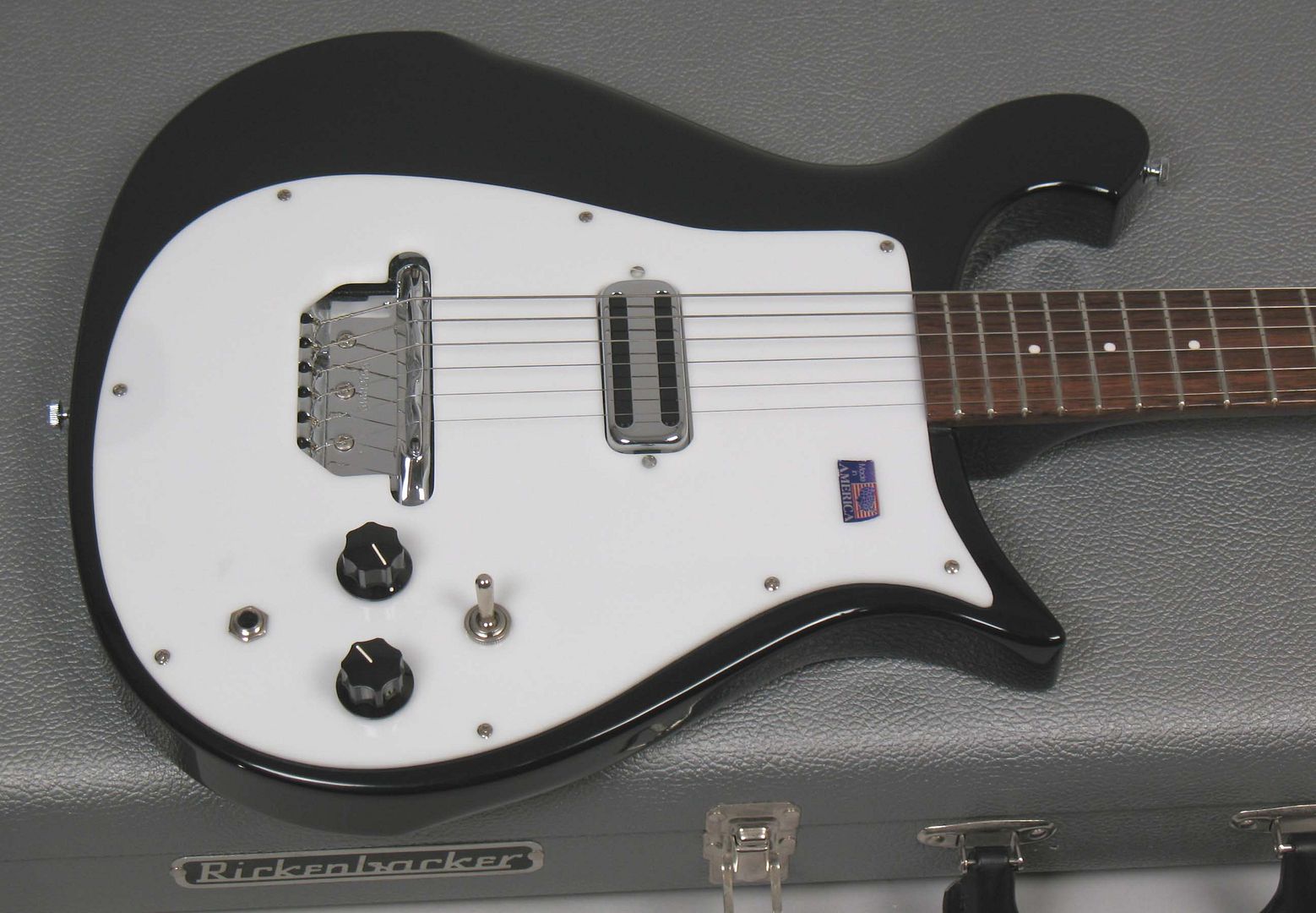 1999 Rickenbacker 425