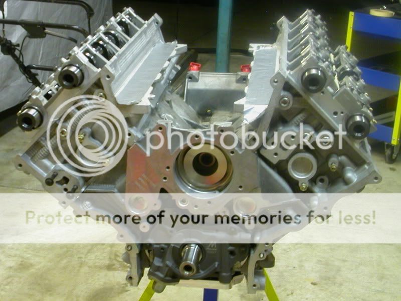 Timing Set 03 Cobra engine???How | Mustang and Ford Performance Forums